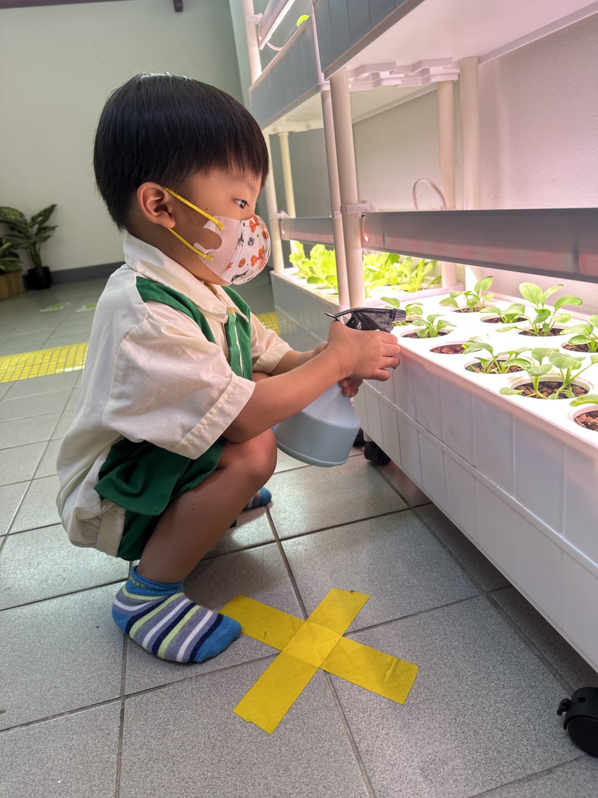 Fostering Sustainable Eating Practices from a Young Age - Infant ...